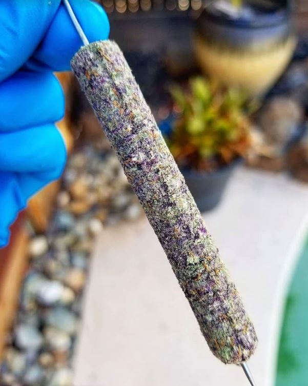 Cómo liar un cannagar - Flower Indoor